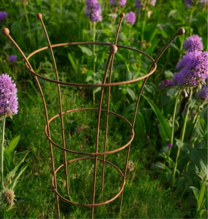 Plant Supports | Garden Plant Supports | Fig and Rose UK